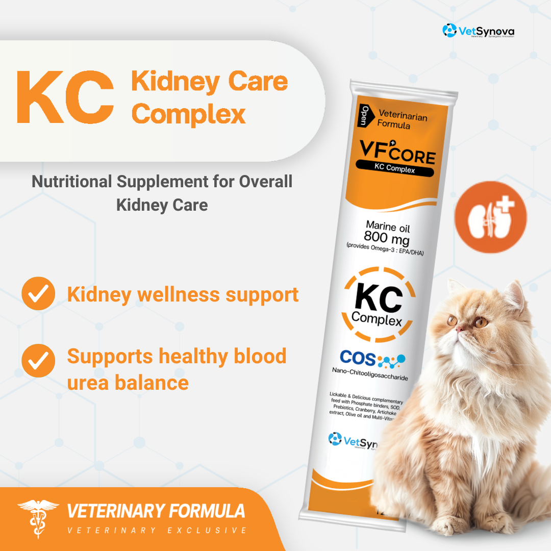VF⁺Core KC Kidney care – vetsynova